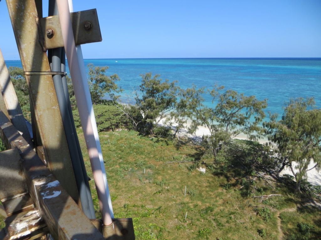 Lady Musgrave Island - Journages